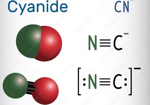 Xử lý nước thải chứa xyanua bằng phương pháp sinh học